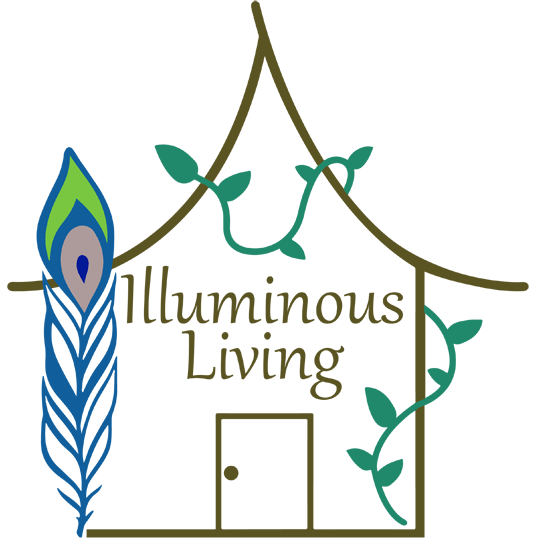 The Significance of Peacock Feathers - illuminous living